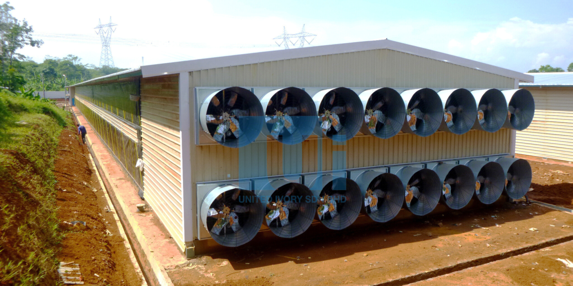 Poultry Farming – Livestock & Poultry Middle East